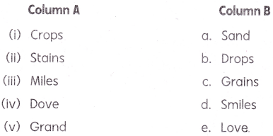 Little Drops of Water Class 2 Worksheet with Answers English Chapter 12