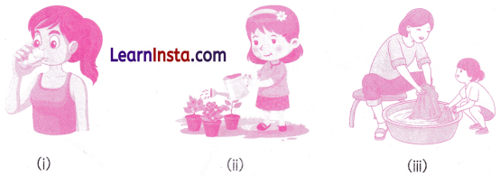 Little Drops of Water Class 2 Worksheet with Answers English Chapter 12