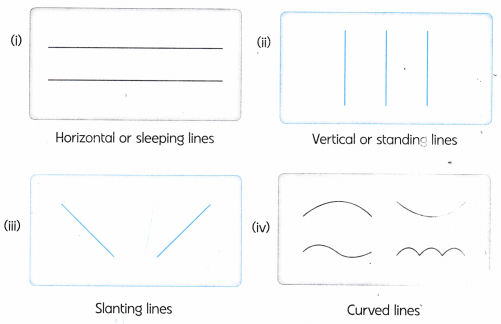 Playing with Lines Class 2 Worksheet with Answers Maths Chapter 5