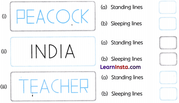 Playing with Lines Class 2 Worksheet with Answers Maths Chapter 5
