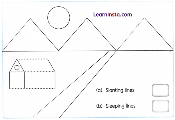 Playing with Lines Class 2 Worksheet with Answers Maths Chapter 5