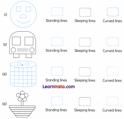 Playing with Lines Class 2 Worksheet with Answers Maths Chapter 5