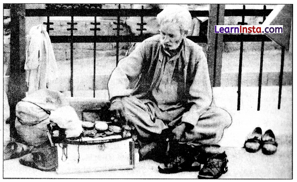 Total English Class 10 Chapter 12 Test Paper 12 Answers Solutions