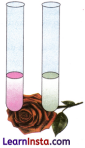 Exploring Substances Acidic Basic and Neutral Class 7 Notes Science ...