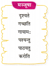 न लभ्यते चेत् आम्लं द्राक्षाफलम् Class 7 Worksheet with Answers ...