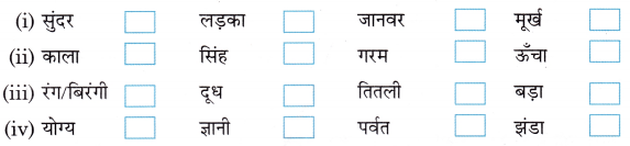 Class 3 Hindi Grammar Worksheet with Answers व्याकरण