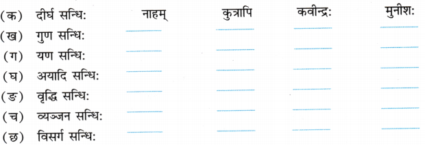 Class 7 Sanskrit Grammar Worksheet with Answers व्याकरण