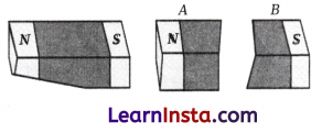 Exploring Magnets Class 6 Worksheet with Answers Science Chapter 4