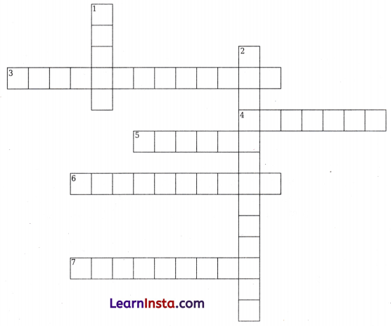 Exploring Magnets Class 6 Worksheet with Answers Science Chapter 4