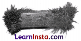 Exploring Magnets Class 6 Worksheet with Answers Science Chapter 4