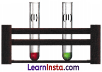 Exploring Substances Acidic Basic and Neutral Class 7 Worksheet with ...