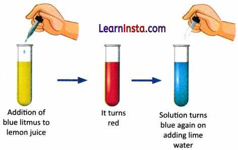 Exploring Substances Acidic Basic and Neutral Class 7 Worksheet with ...