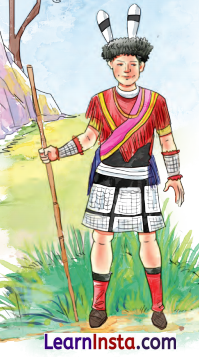 Hekko Class 4 Summary in English