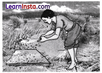 Methods of Separation in Everyday Life Class 6 Worksheet with Answers Science Chapter 9