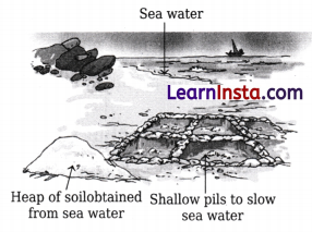 Methods of Separation in Everyday Life Class 6 Worksheet with Answers ...