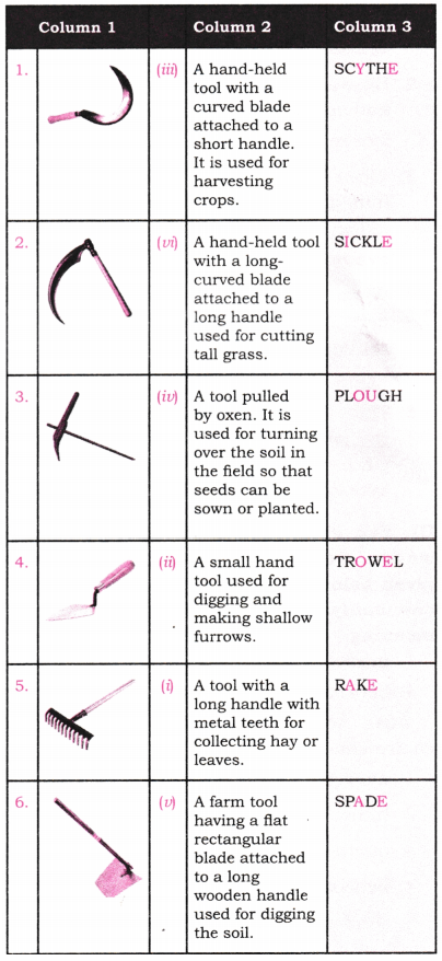 Harvest Hymn Question Answer Class 8 English Poorvi Chapter 11