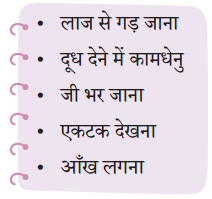 Class 5 Hindi Chapter 5 Question Answer सुंदरिया