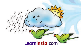 Class 8 Hindi Malhar Chapter 5 Question Answer कबीर के दोहे