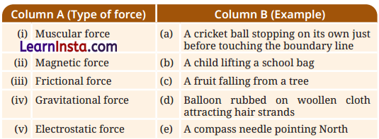 Exploring Forces Class 8 Questions and Answers Science Chapter 5