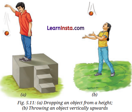 Exploring Forces Class 8 Questions and Answers Science Chapter 5