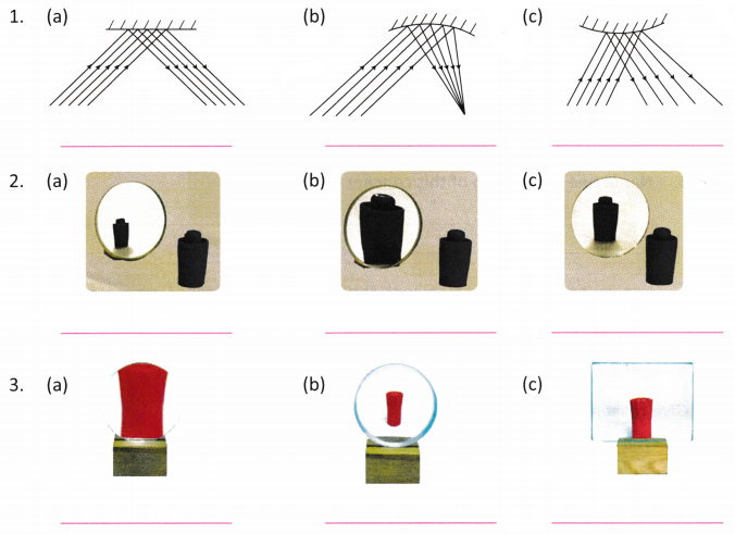 Light: Mirrors and Lenses Class 8 Worksheet with Answers Science Chapter 10