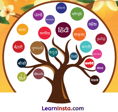 Carrier of Words Class 9 Summary in English