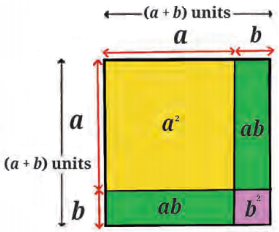 Exploring Algebraic Identities Class 9 Notes Maths Chapter 4